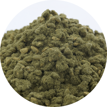 Yellow koji mold (Aspergillus oryzae, Aspergillus sojae)