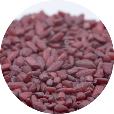 Red koji mold (Monascus genus)